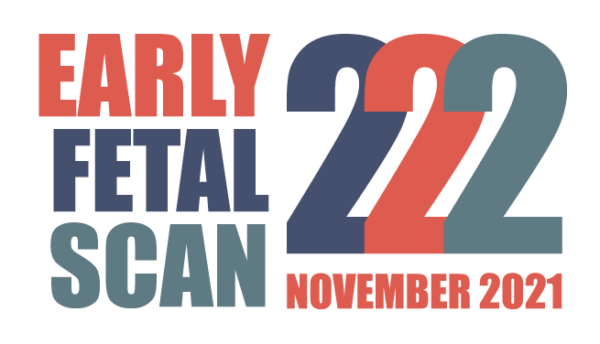 Fourth Early Fetal Scan Conference 2021 – London School of Ultrasound